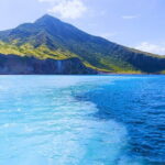 Yilan Whale Watching and Animal Farm Private Tour from Taipei - Practical Details and What to Expect