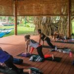 yoga class - Vinyasa Flow (wellness treatments Sri Lanka) - Exploring the Vinyasa Flow Yoga Experience in Galle