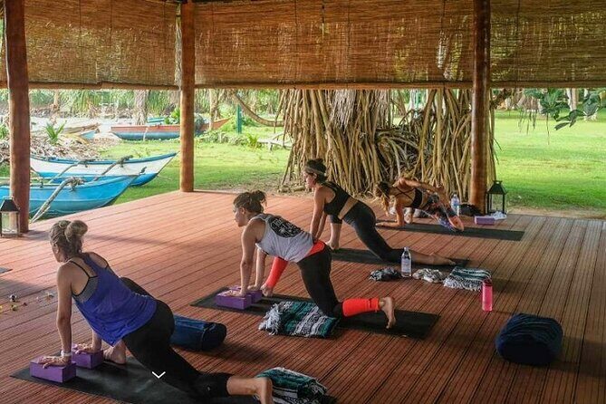 yoga class - Vinyasa Flow (wellness treatments Sri Lanka) - Exploring the Vinyasa Flow Yoga Experience in Galle