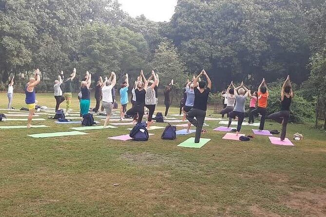 Yoga Tour To India - A Day-by-Day Breakdown