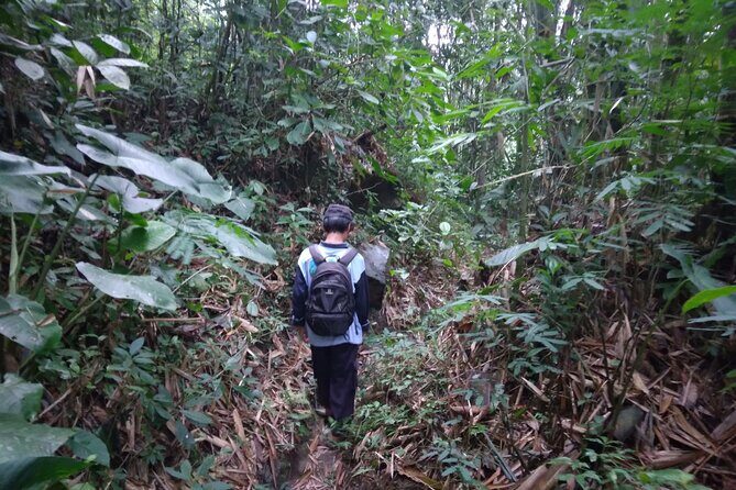 Yogyakarta Countryside Walking Tour - What Sets This Tour Apart: Insights from Travelers