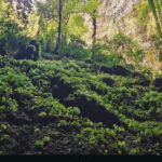 Yogyakarta Jomblang Cave and Pindul Cave Tour - Authenticity and Quality of the Experience