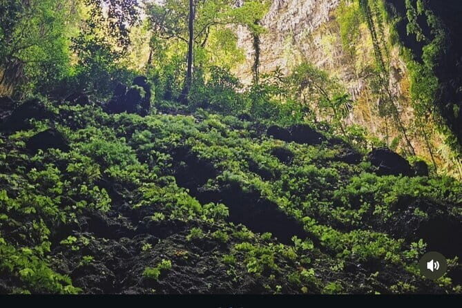 Yogyakarta Jomblang Cave and Pindul Cave Tour - Authenticity and Quality of the Experience