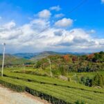 YokaBus Heritage in a Cup of a Yame Tea & Sake Tasting Expedition - Transportation and Group Dynamics