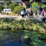 Yokohama Half Day Tour with an Expert Local Guide - Itinerary Breakdown