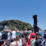 Yokosuka: Guided Island Tour to Sarushimas Forgotten Port - The Sum Up