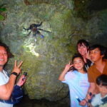 Yonaguni Island: Stargazing and Jungle Night Tour - Who Will Love This Experience?