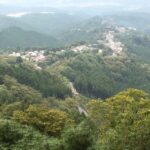 Yoshino: Private Guided Tour & Hiking in a Japanese Mountain - Key Highlights of the Yoshino Private Guided Tour