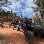 YOU DRIVE!! 5 Hr UTV Tour Pictograph Panel, Sand Boarding & More - In-Depth Itinerary Breakdown