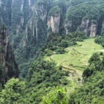 Yuanjiajie Avatar and Tianzi Mountain and Rice Field Village Tour - Price and Value