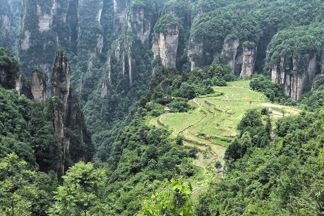 Yuanjiajie Avatar and Tianzi Mountain and Rice Field Village Tour - Price and Value
