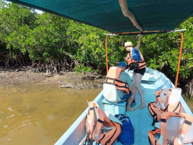 Yucatán: Río Lagartos Biosphere Reserve Boat Tour - What to Expect from the Tour