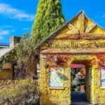 Yufuin: Onsen Wellness & Culinary Delights Guided Tour - Is the Price Justified?