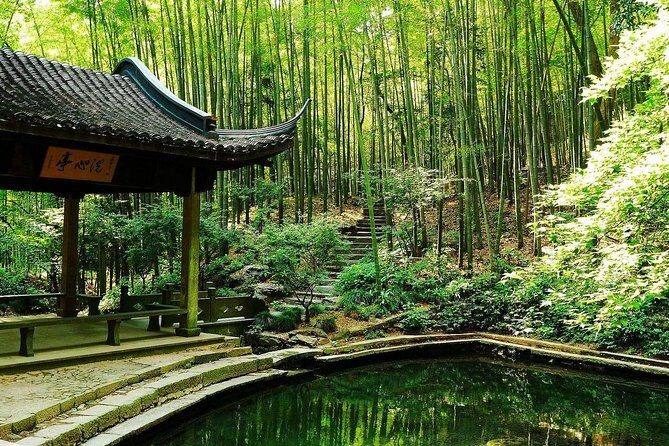 Yunxi Bamboo Forest and West Lake Private Day Tour with Tea Plantation Experience - Who Should Consider This Tour?