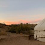Yurt Camp from Samarkand to Bukhara Self-Guided Tour - Final Thoughts