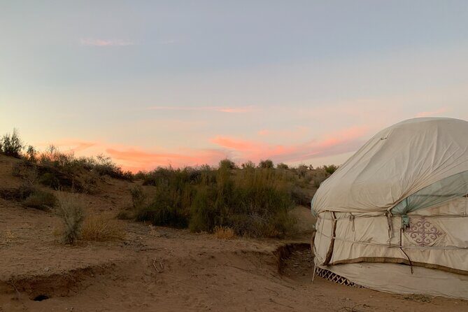 Yurt Camp from Samarkand to Bukhara Self-Guided Tour - Final Thoughts