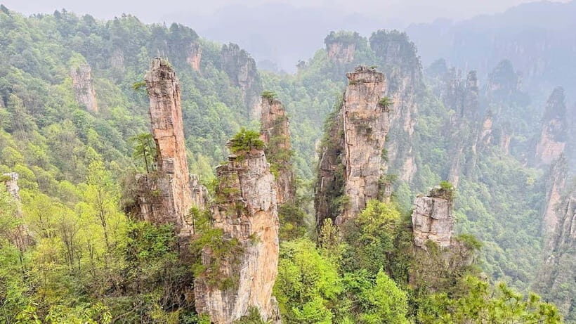 Zhangjiajie: National Forest Park 1-Day VIP Private Tour - Who Should Consider This Tour?