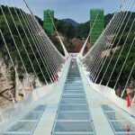 Zhangjiajie National Forest Park and Glass Bridge Adventure Trip - What Travelers Say