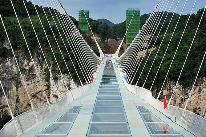 Zhangjiajie National Forest Park and Glass Bridge Adventure Trip - What Travelers Say