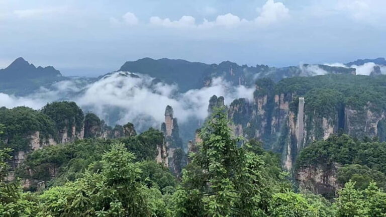 Zhangjiajie National Forest Park: Private Tour and Transport - What Makes This Tour Stand Out?