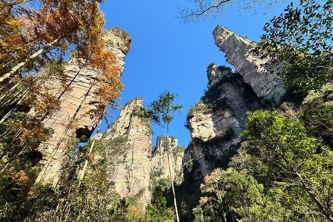 Zhangjiajie National Forest Park Tickets Booking - What You Get and What You Miss