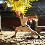 Zhengzhou Private Half-Day Tour: Shaolin Temple & Kungfu Show - What Youll Experience on This Tour