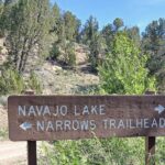 Zion National Park: Shuttle Service - Practical Considerations and Cost-Value Analysis