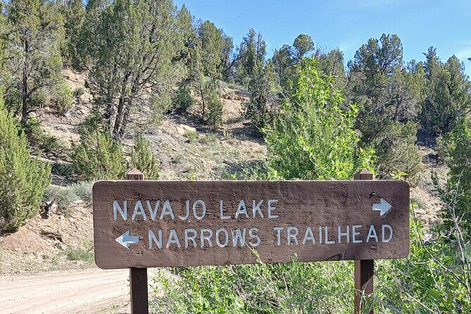 Zion National Park: Shuttle Service - Practical Considerations and Cost-Value Analysis