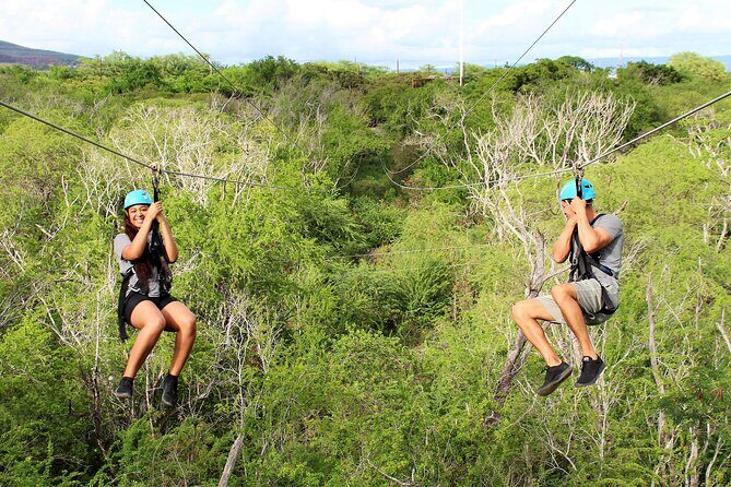 Zip and Dip: 3 Ziplines and Wet n Wild Waterpark - Who Should Consider This Tour?