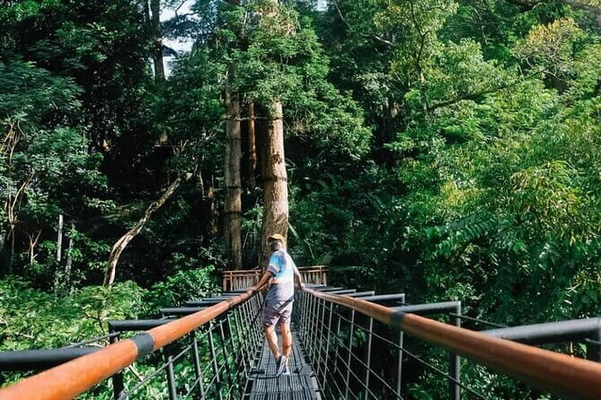 Zipline 18 Platforms at Hanuman World - Is the Price Worth It?