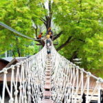 Zipline and ATV Skyline Adventure Phuket Include Pickup Transfer - Final Thoughts: Is it Worth It?