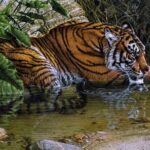 03 Days Private Wildlife Ranthambore Tiger Tour from Jaipur - What’s Included & What’s Not