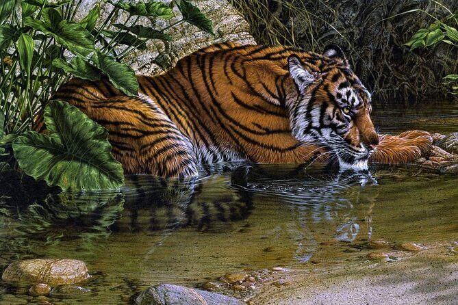 03 Days Private Wildlife Ranthambore Tiger Tour from Jaipur - What’s Included & What’s Not