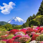 1 Day Private Tokyo to Hakone Gotemba Fuji Tour - What Travelers Say (Based on Reviews)