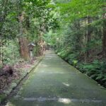 1 Day Tour from Kanazawa Tedori Gorge White Road and Shirakawa Go - Who Will Love This Tour?