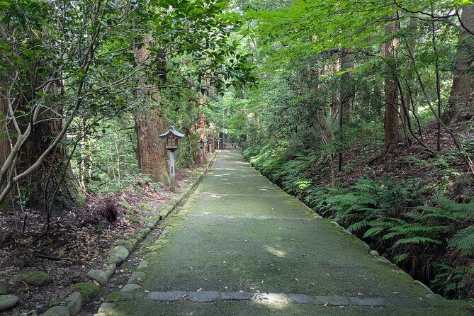 1 Day Tour from Kanazawa Tedori Gorge White Road and Shirakawa Go - Who Will Love This Tour?