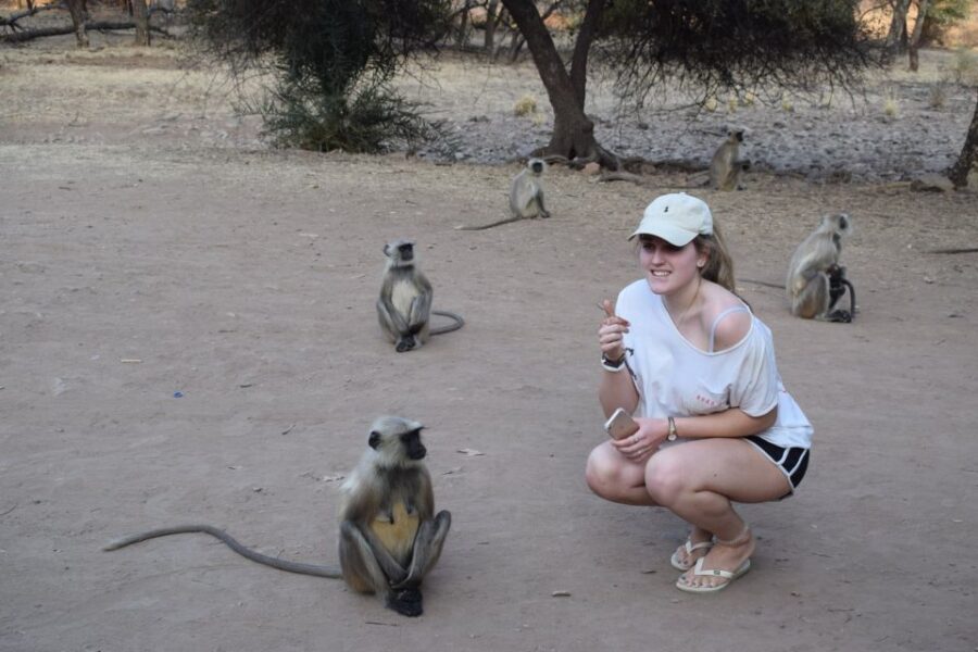 1 Night 2 Days Ranthambhore WildLife Tour From Jaipur - What to Expect During the Safari