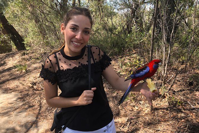 #1 Private Blue Mountains Tour by authentic story telling locals - Why This Tour Stands Out