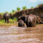 11 Day Tuk Tuk Adventure in Northern Thailand - Who Will Love This Tour?