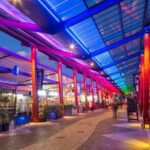 14 Day Scenic New Zealand Discovery Private Tour - The value of this tour