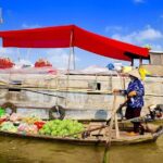 14 Days Classic Vietnam - A Private Tour from Hanoi to Saigon - What the Reviews Say