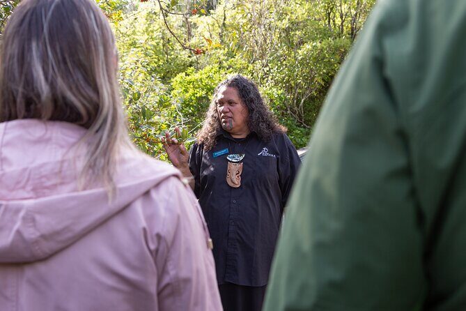 1Hour Guided Tour of Pkaha National Wildlife Centre - In-Depth Look at the Itinerary