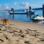 2.5-Hour Ultimate Jet Ski Safari to North Stradbroke Island - Value and Practical Insights