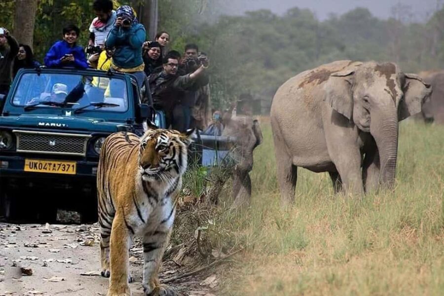 2-Day Agra and Ranthambore Tour from Delhi - Practical Considerations and Value