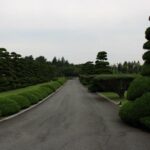 2-Day Busan City Tour Package - Who Will Enjoy This Tour?