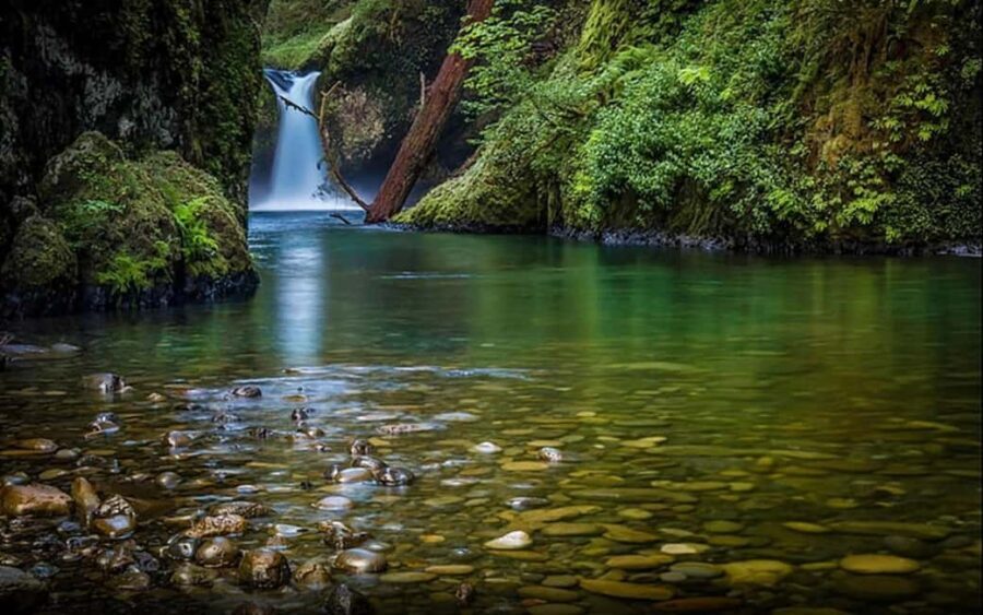 2-Day Jungle Safari: Kolkata to Jim Corbett by Air via Delhi - The Itinerary in Detail