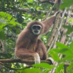 2 Days 1 Night Ethical Jungle Trekking - What’s Included and What’s Not