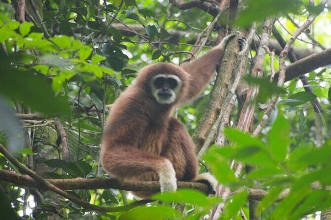 2 Days 1 Night Ethical Jungle Trekking - What’s Included and What’s Not