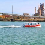 2-Hour Dolphin and Maritime Cruise in Port Adelaide - Discovering the Adelaide Dolphin Sanctuary