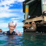 2 hour Seals & Seadragon Swim - Who Will Love This Tour?